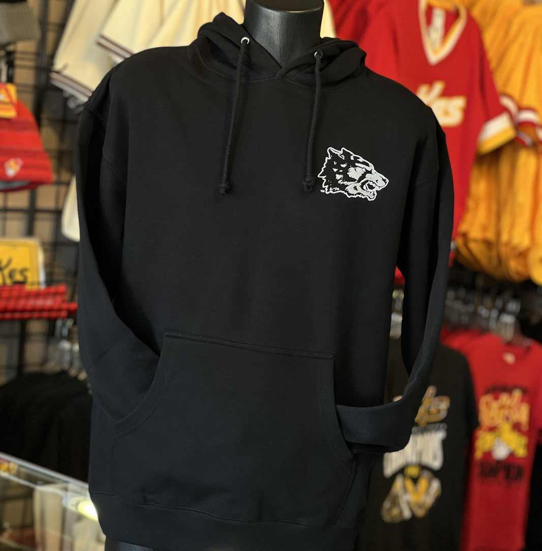 Sweatshirts – ABQ Dukes